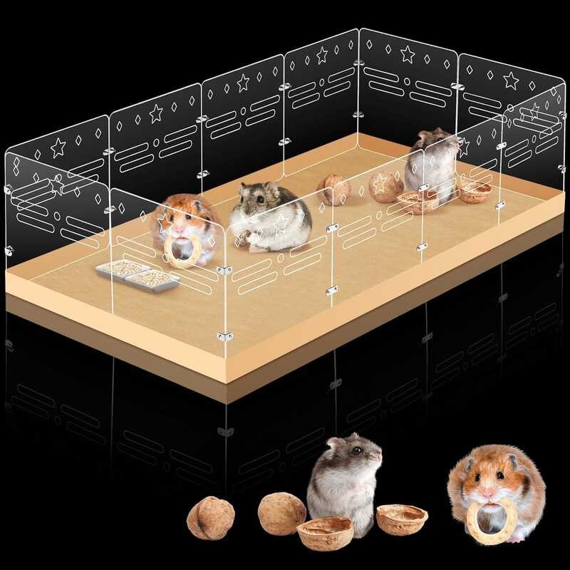 CroBlissful Pig Cages 4 x 2 ft Large Habitat Acrylic Pigs Without Top ...