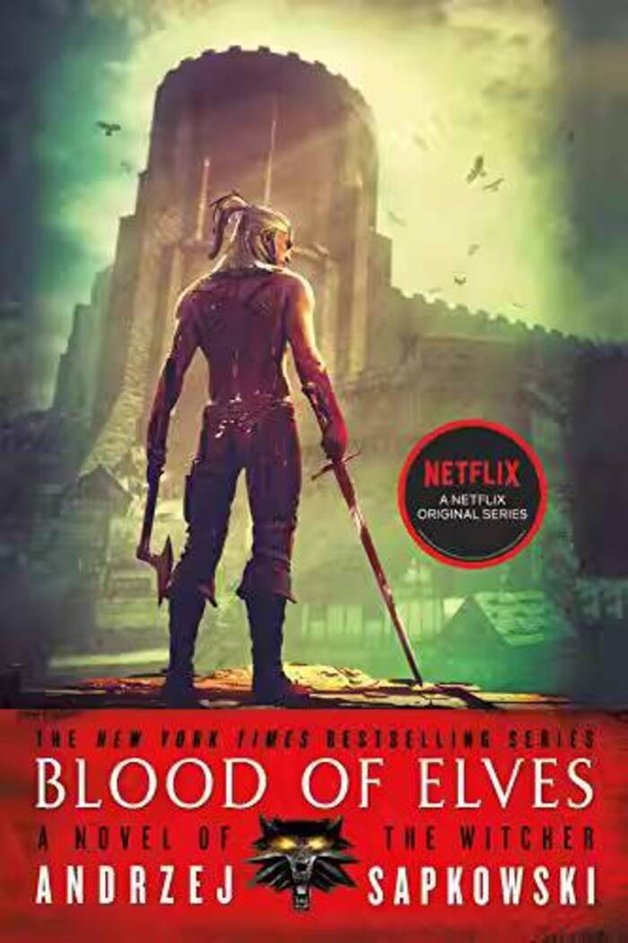 English Original The Witcher: Blood of Elves Game The Witcher Original ...