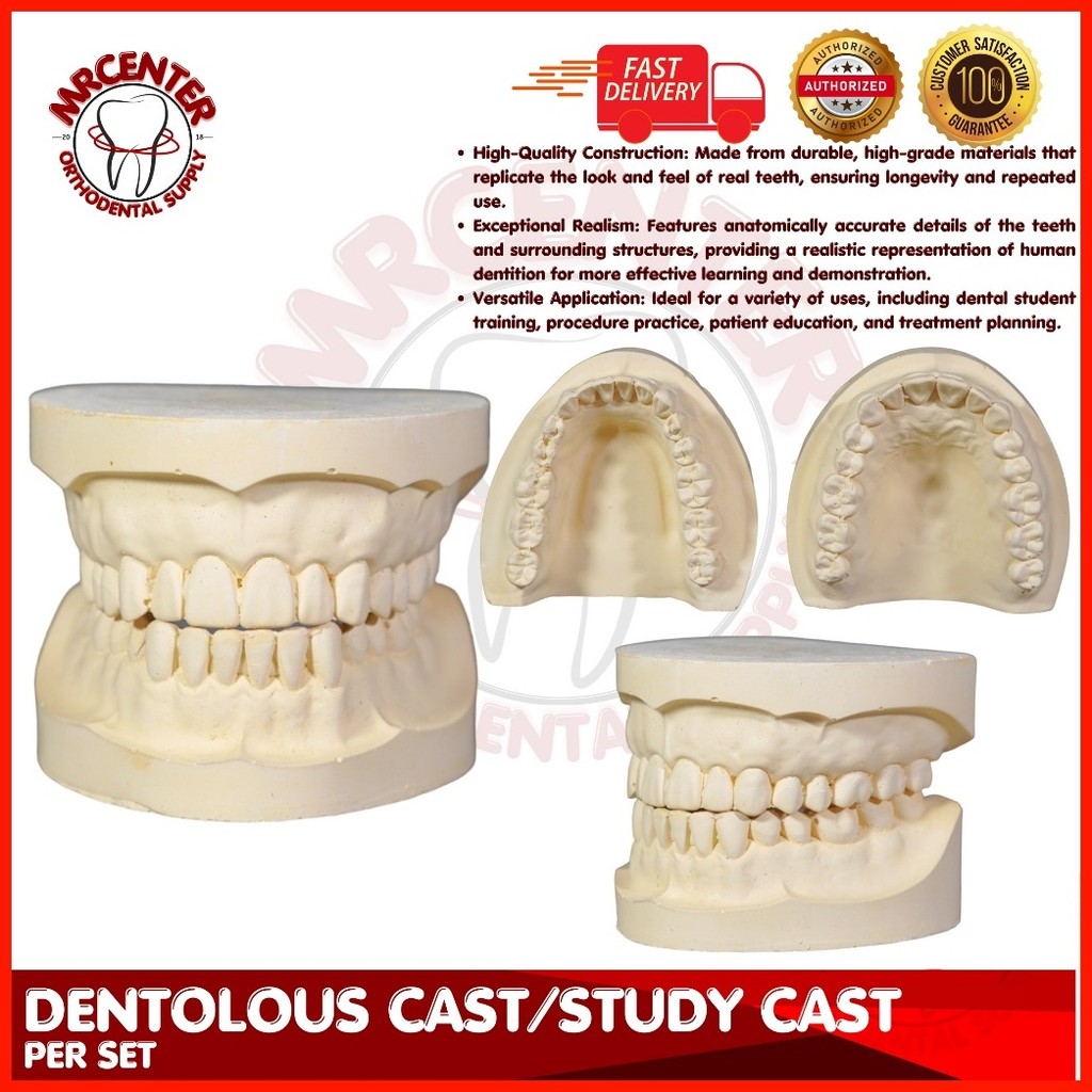 ∡ ⇧ ♥ Perfect Your Practice: Dentolous Study Cast Teeth for Dentistry ...