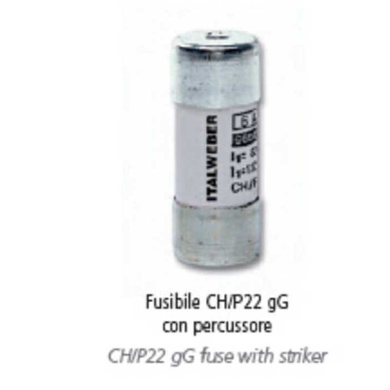 ITALWEBER 22*58 690V CH22 gG 63A1441063 Fuse | Shopee Philippines