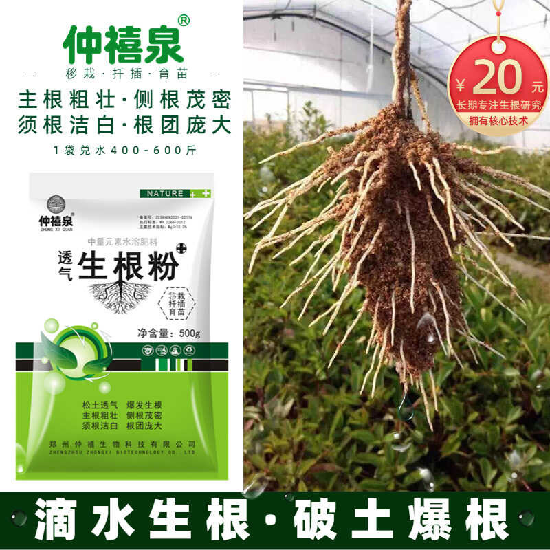 Pag-ugat mga planta pulbos pagputol, pag-ugat ng powder solusyon para ...