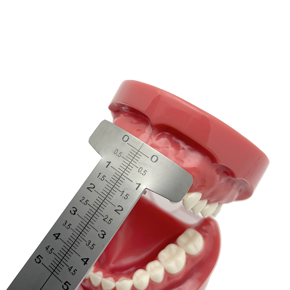 Dental Gauge Papillameter Measuring Ruler Precision Measuring Dental ...