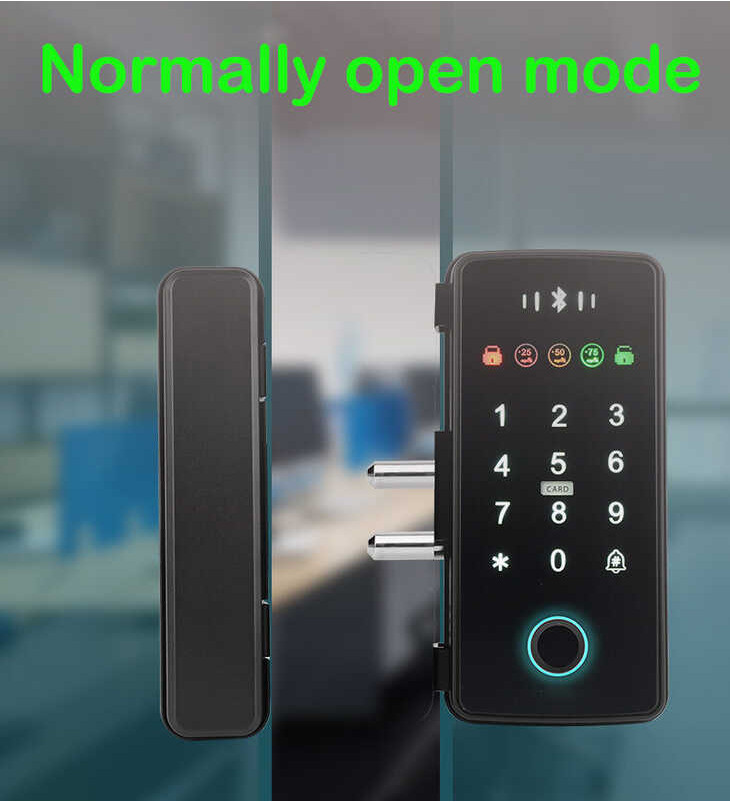 Boland Smart Door Lock Fingerprint Electronic Digital Gate Opener ...