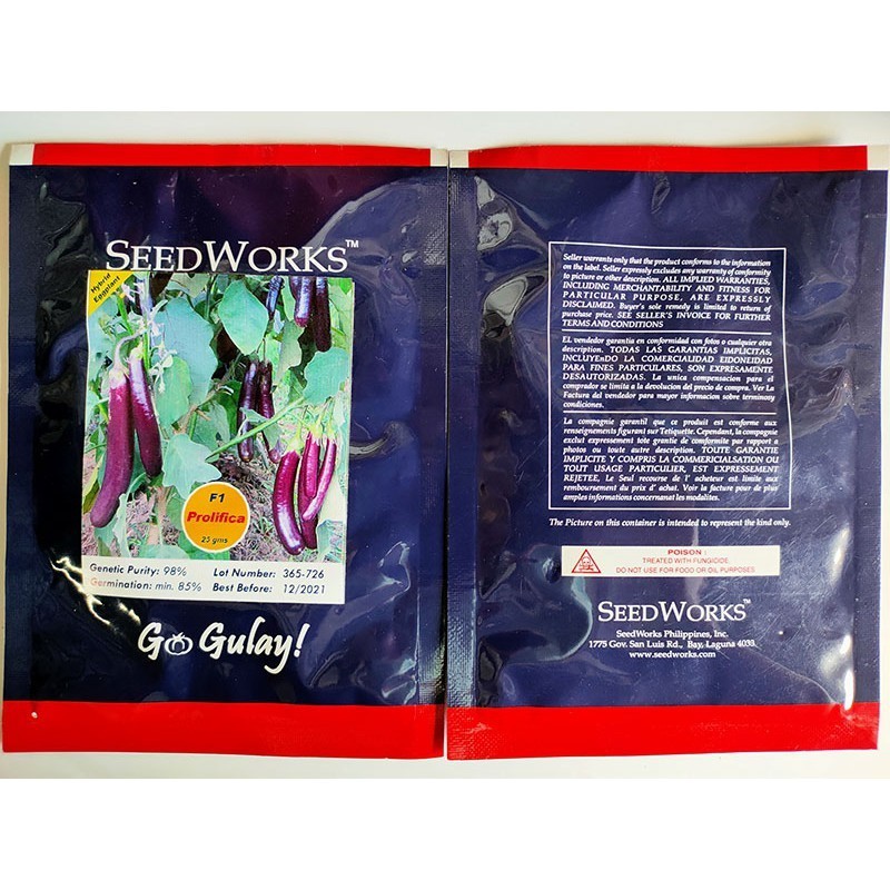 SEEDWORKS PROLIFICA F1 VARIETY EGGPLANT / TALONG SEEDS (25g PACK ...