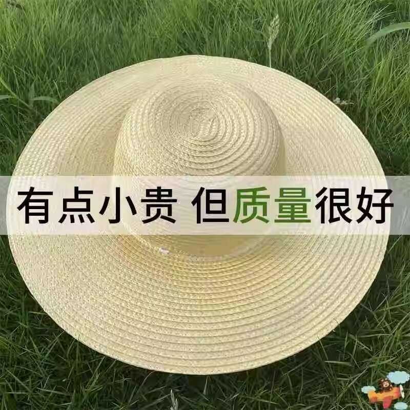 Men, Farmer Sun Protection, Wheat Straw Beach Outdoor Work Wide Brim ...