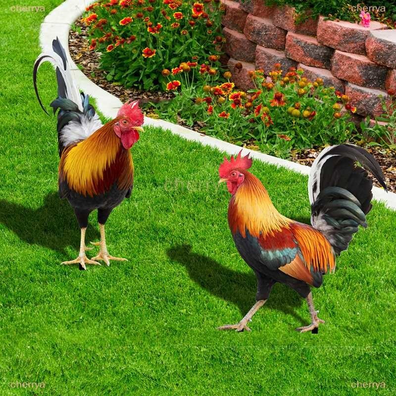 Cherrya Garden Statue 2D Acrylic Chicken Sculpture Outdoor Yard Rooster ...