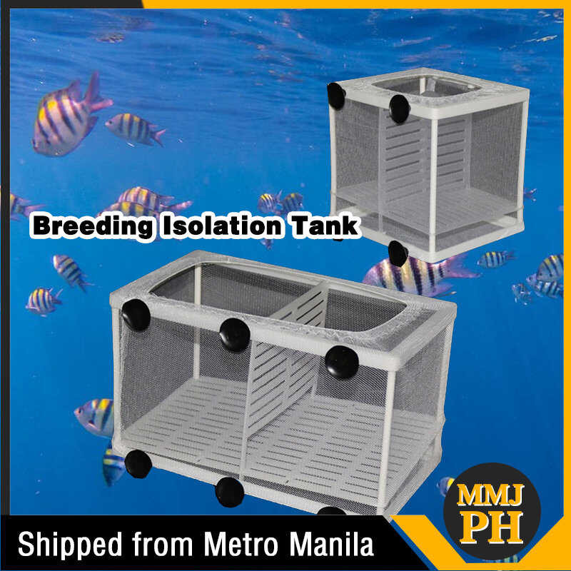 Isolation Tank Aquarium Breeding Boxes Incubator Para sa Fish Baby S ...