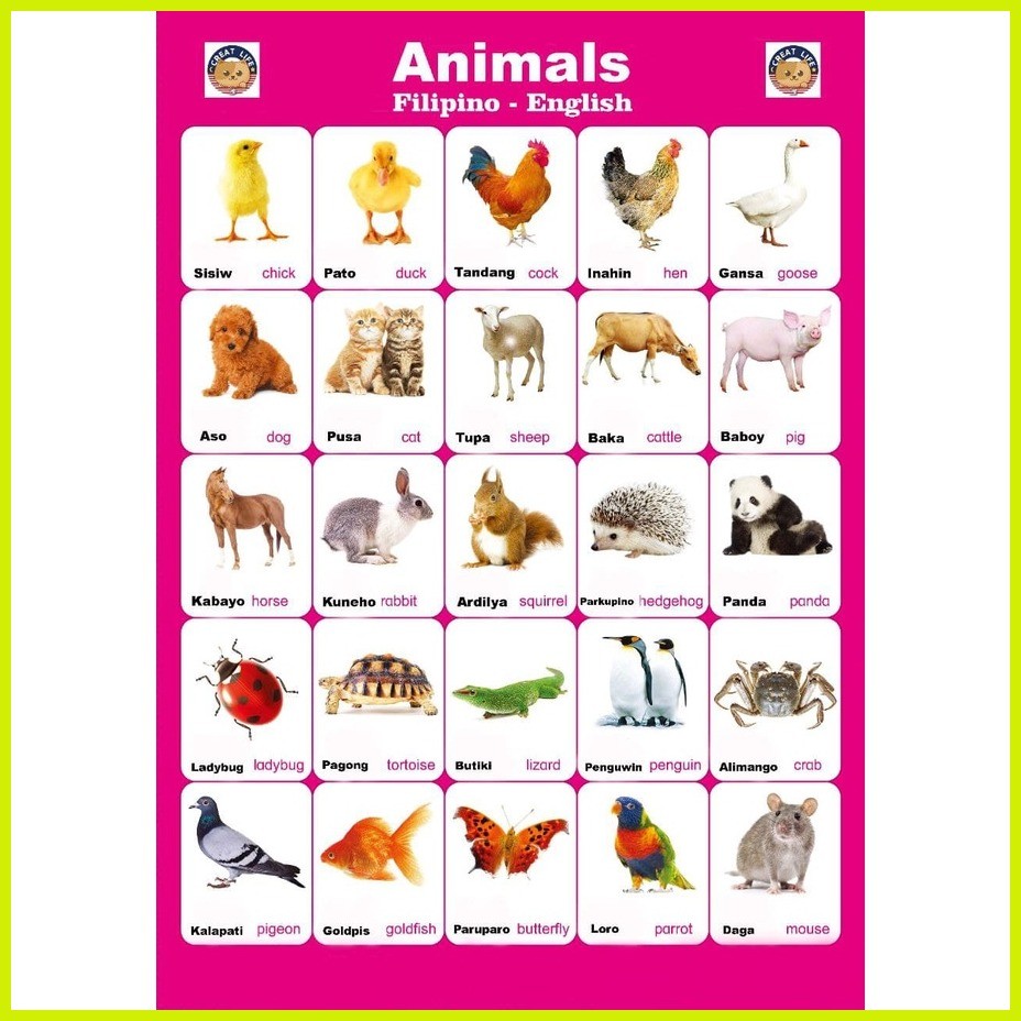 ♂ 58*42cm Filipino - English Educational Wall Charts for Kids Learning ...