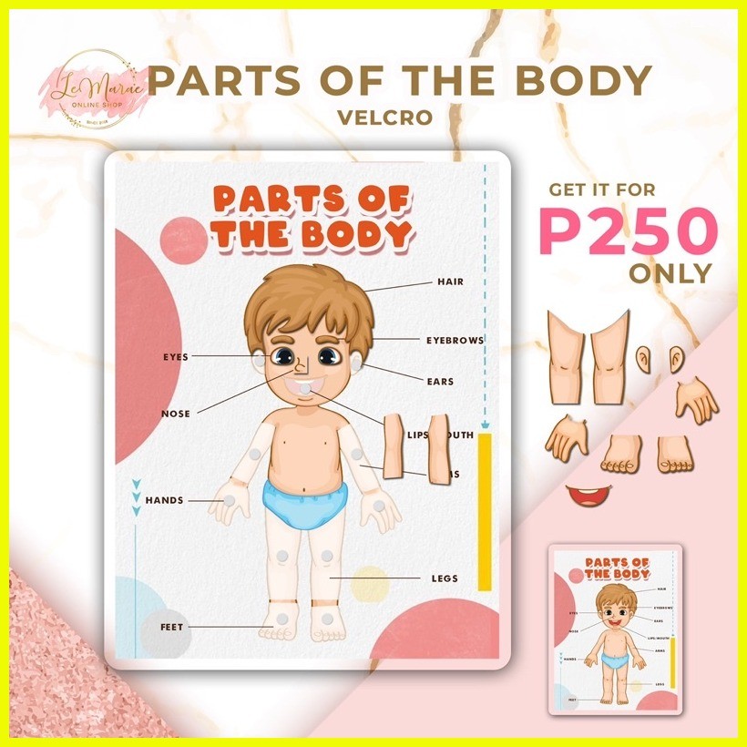 ♟ BODY PARTS GIRL OR BOY - Laminated Velcro Busy Book Interactive ...