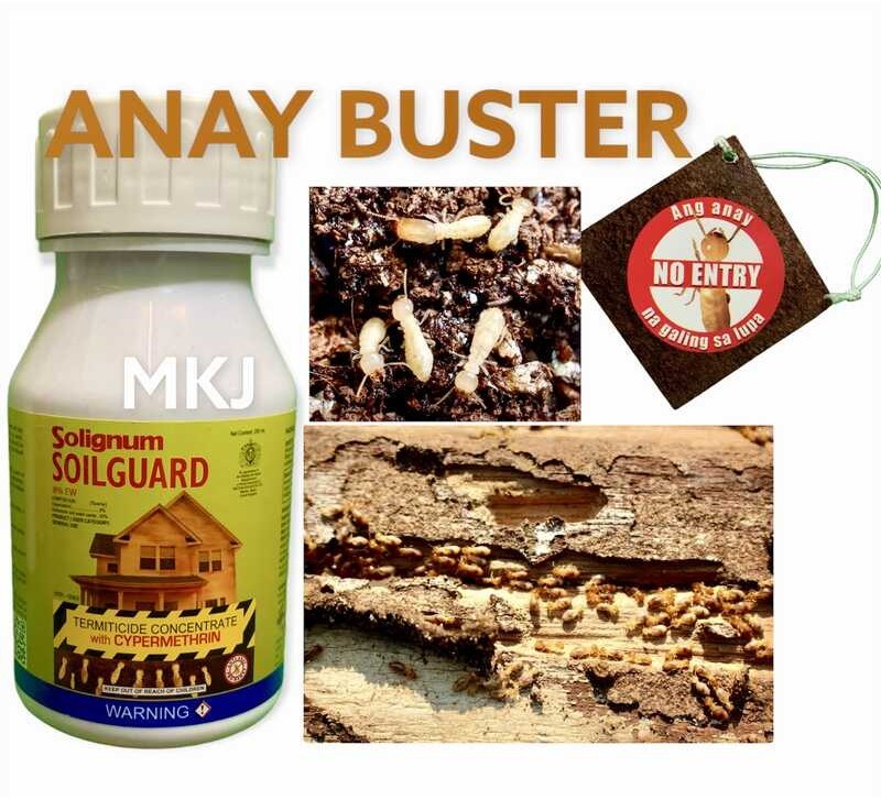 SOILGUARD NG SOLIGNUM ANTI-TERMITES 250 ml ANG araw, BUKBOK, LANGGAM ...