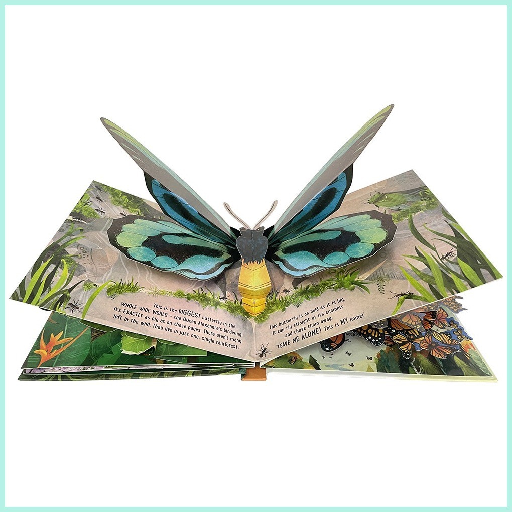 Usborne Pop Up Butterflies 3D Flap English Books for Kids Reading ...