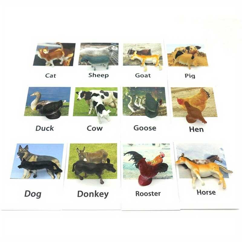 Animal Montessori Matching Card,Language Learning Cognitive Kids ...