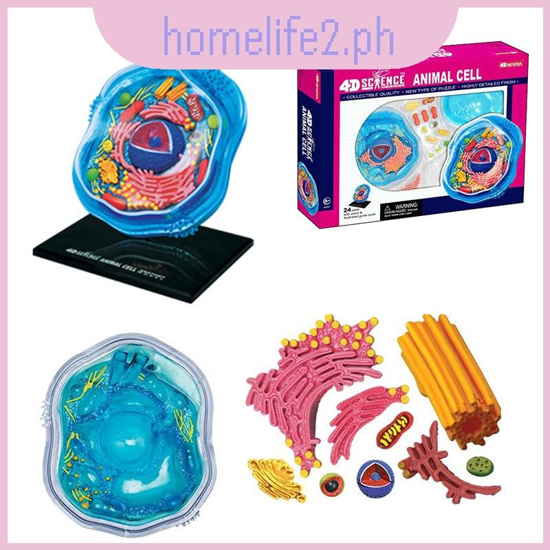 Learn Biology With 4d Master Animal Cell Plant Cell Model Display ...