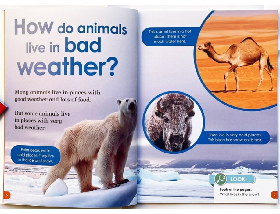 Original English Picture Book BBC Earth Do You Know? Set of 11 Natural ...