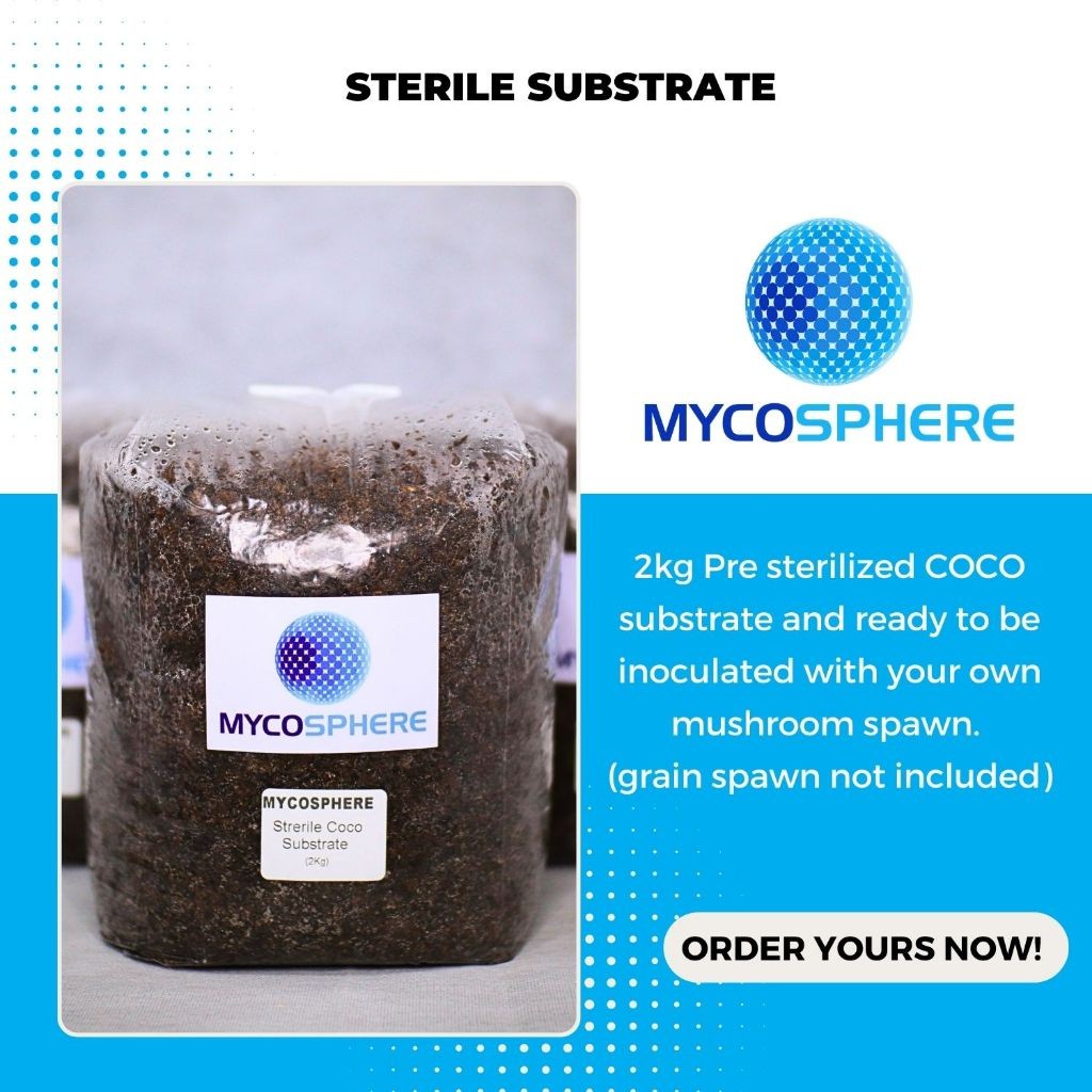 Sterile Hydrated Coco Growing Media (3L) - Supplemented Coco Peat ...
