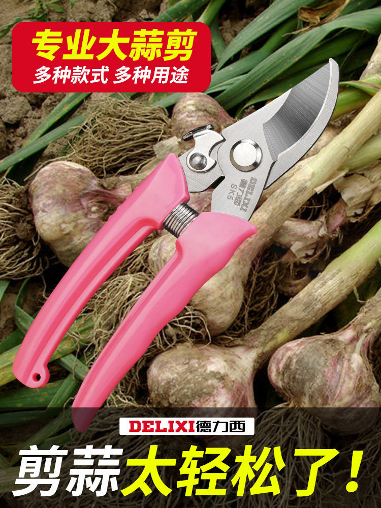 Ready Stock ※ Special Scissors for Garlic Cutting Garlic Cutting Garlic ...
