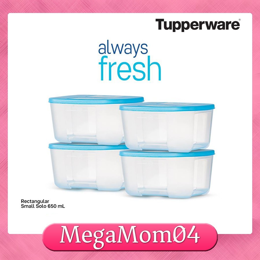 650ML Tupperware Freezermates Freezer Food storage freezer safe air ...