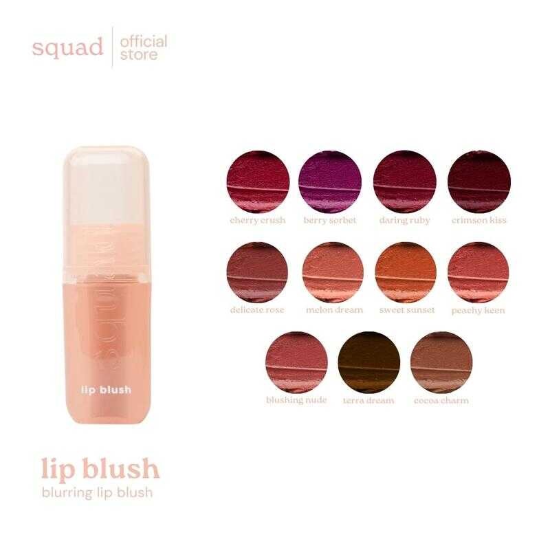Squad Cosmetics Lip Blush Matte Blurring Tint 9Fb | Shopee Philippines