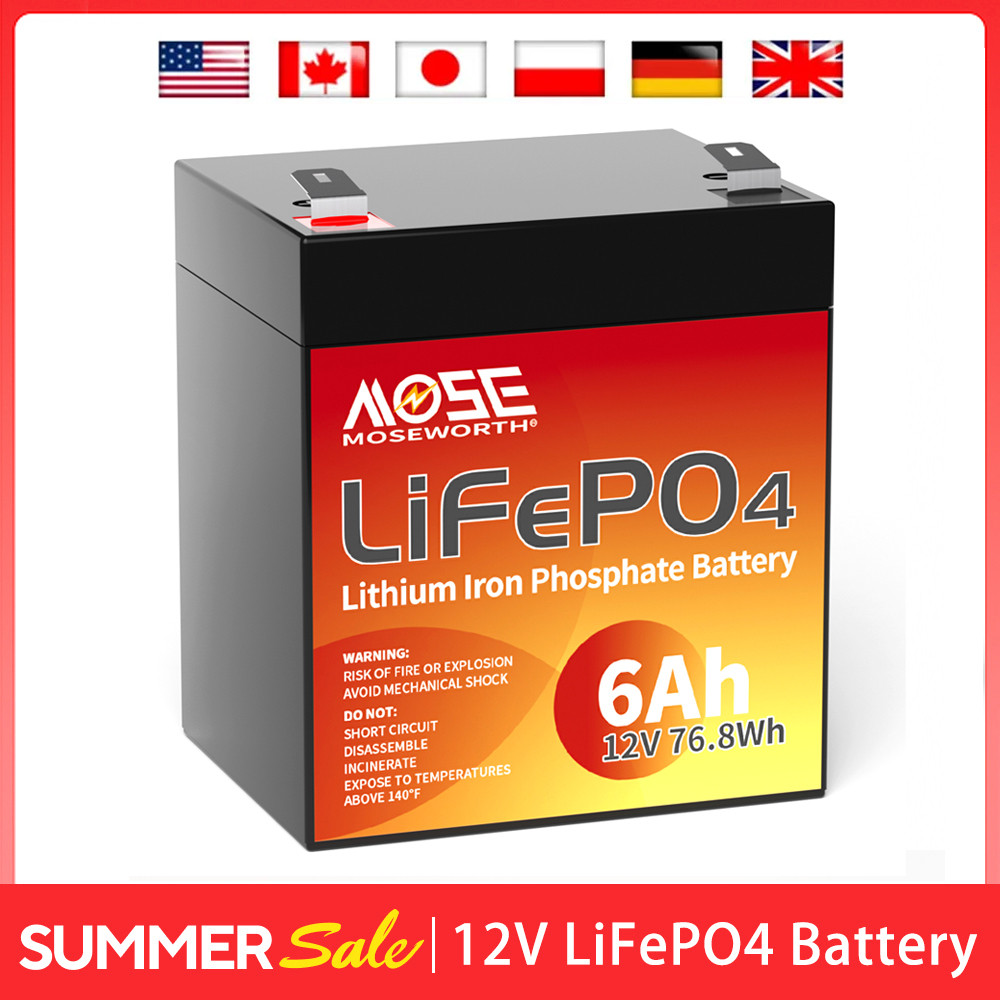 6Ah 1A 12V Lifepo4 Lithium Battery Deep Cycle Rechargeable Built In BMS ...