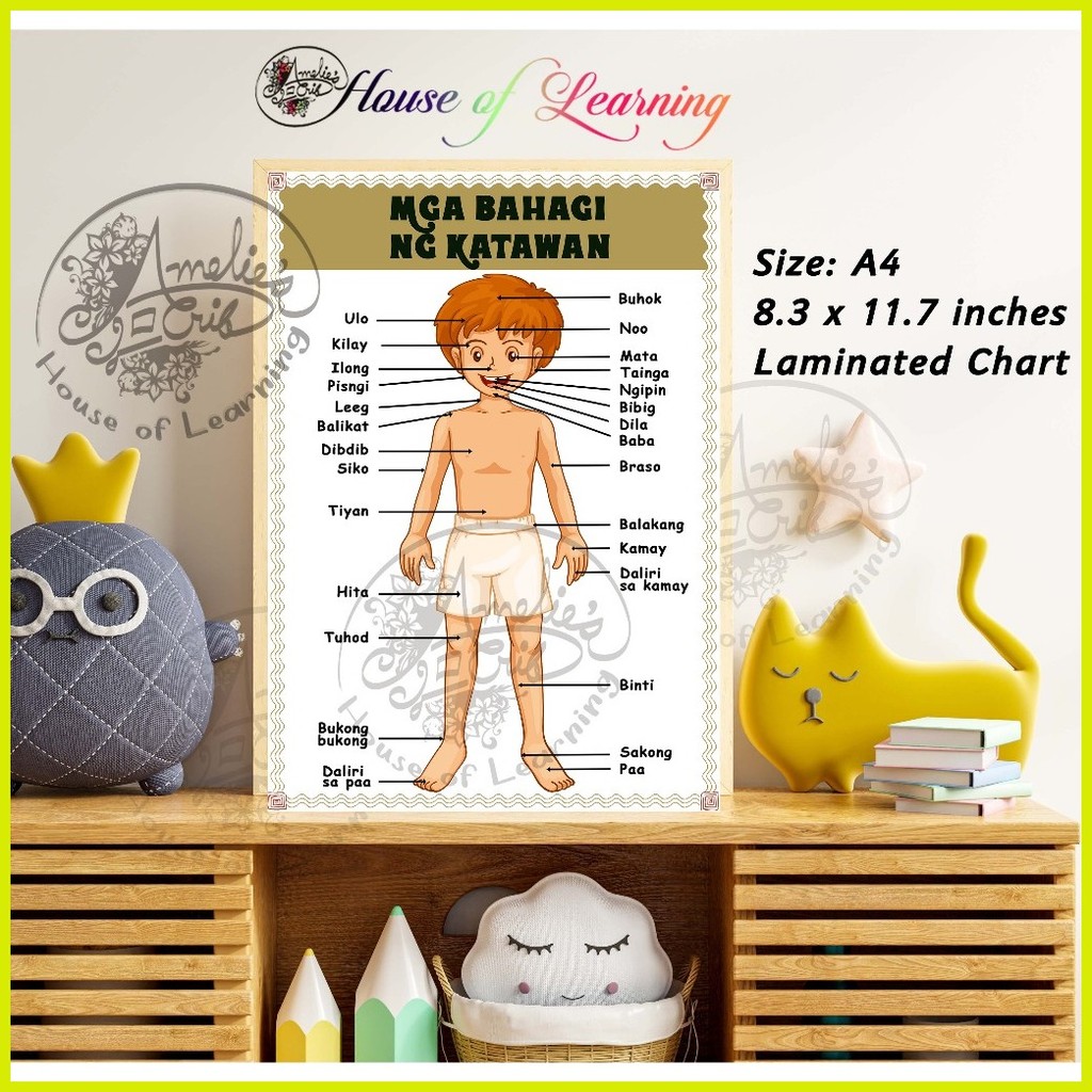 Filipino Educational Charts for kids / Tagalog Laminated A4: Alpabeto ...