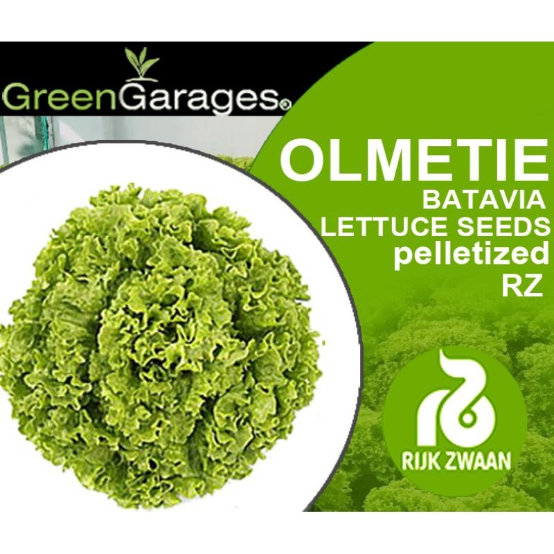 Olmetie Batavia Lettuce RZ 100 pelletized seeds | Shopee Philippines