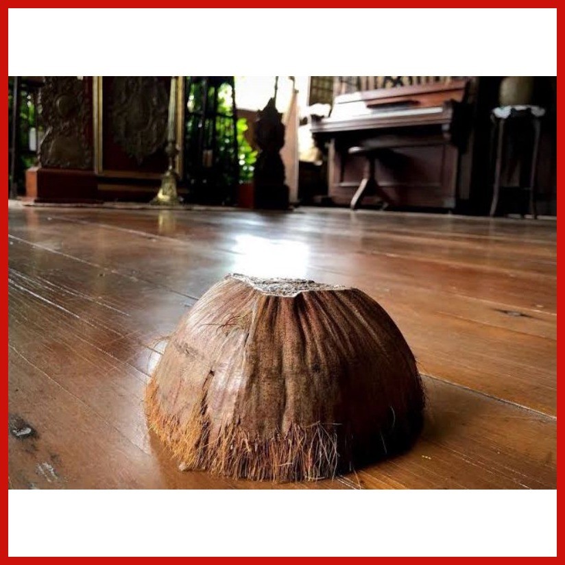 Bunot coconut husk for school bunot good quality coconut husk bunot 1pc ...