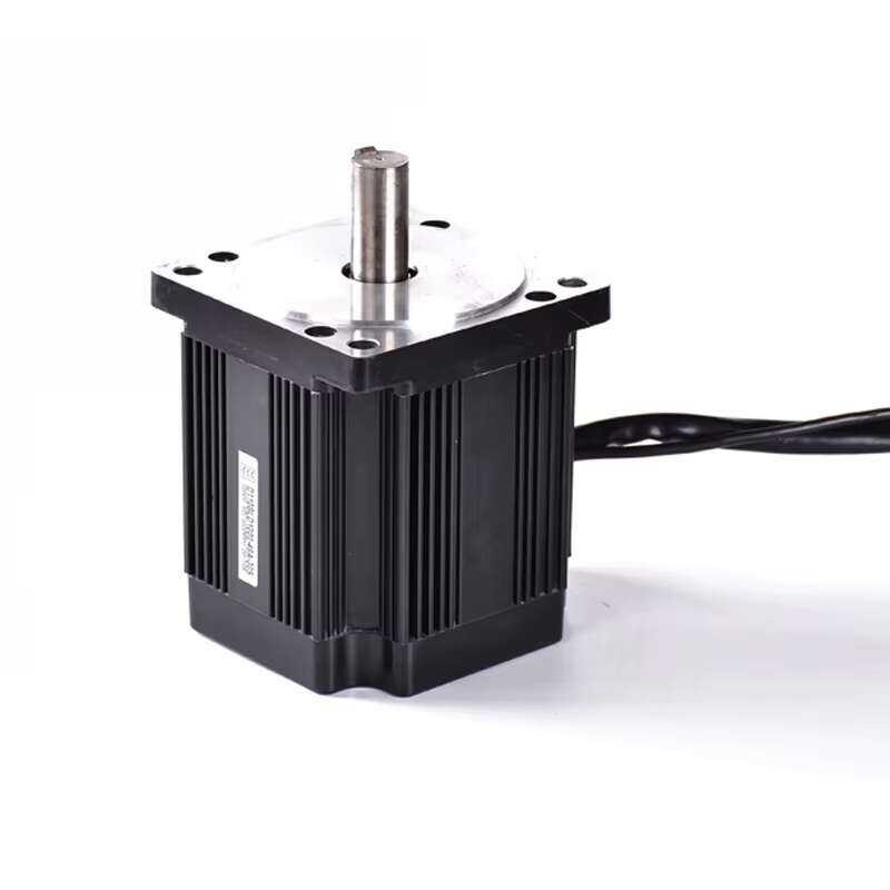 Brushless 220V Dc Motor With Speed Control | Shopee Philippines