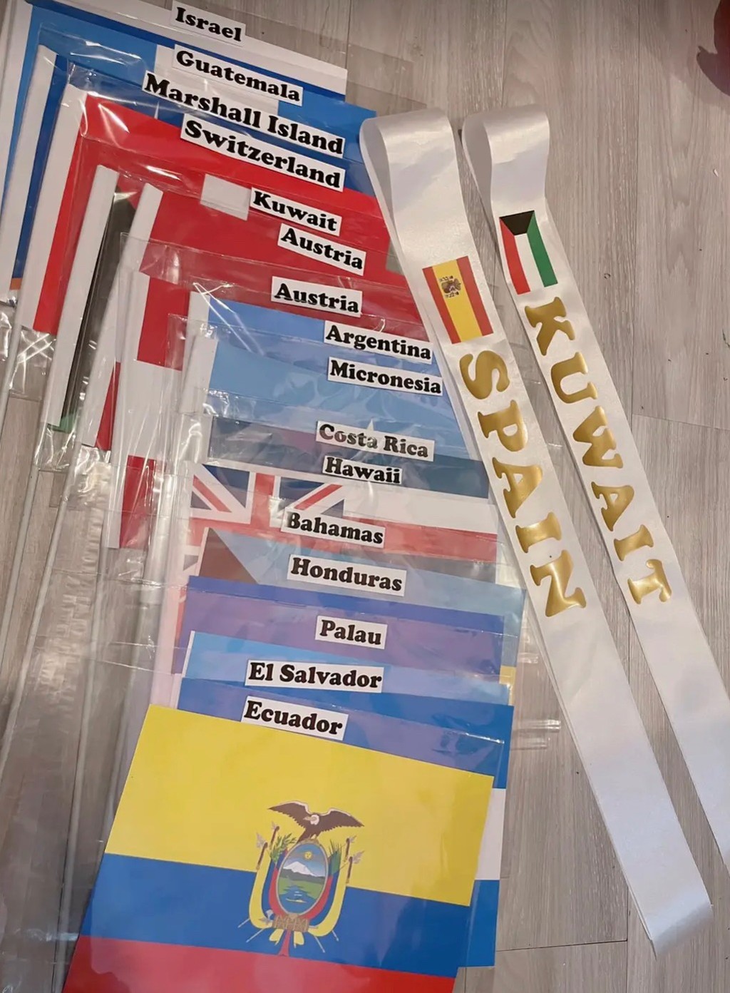 UN Sash/United Nation Sash -PLAIN /GOLD LINING WITH FLAG | Shopee ...