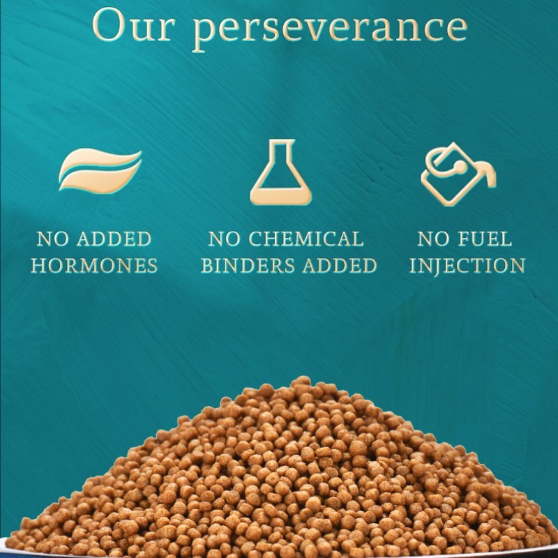 YEE Betta Fish Food for Small Fish Special Tropical Color Enhancing ...