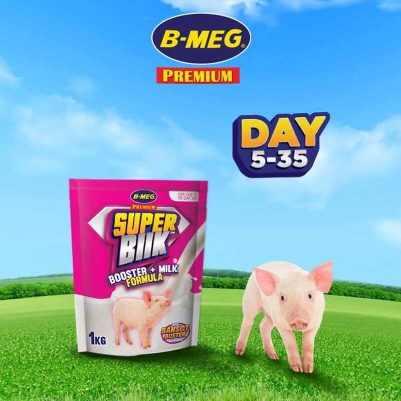 Super Biik B-Meg Formula Booster Milk 1Kg PIGLET For Pig B Meg Booster ...