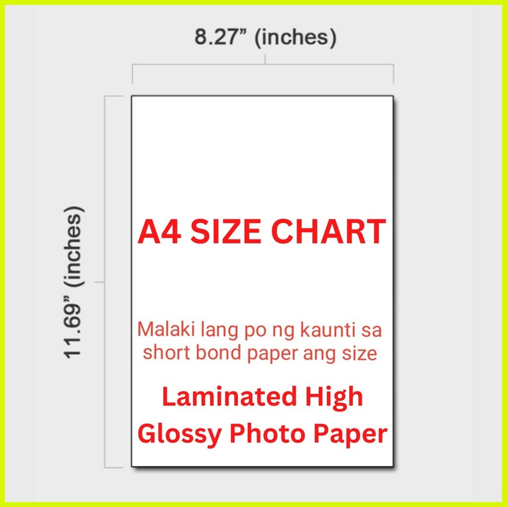 Educational Philippine Money Chart, Laminated A4 Size, Pera ng ...