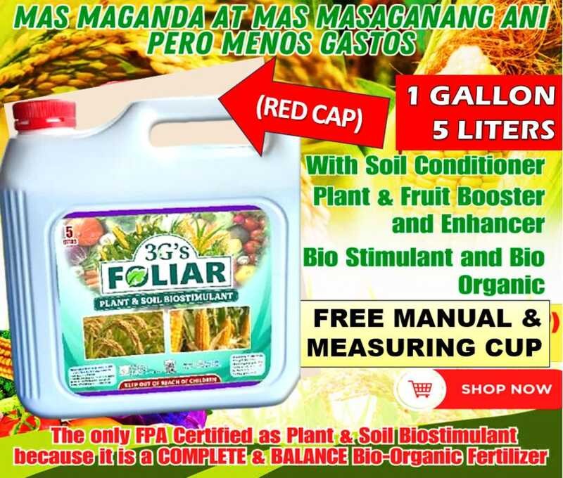3Gs SUPER FOLIAR SOIL & PLANT Adjuvant, Bio-Stimulant, LIQUID BIO ...