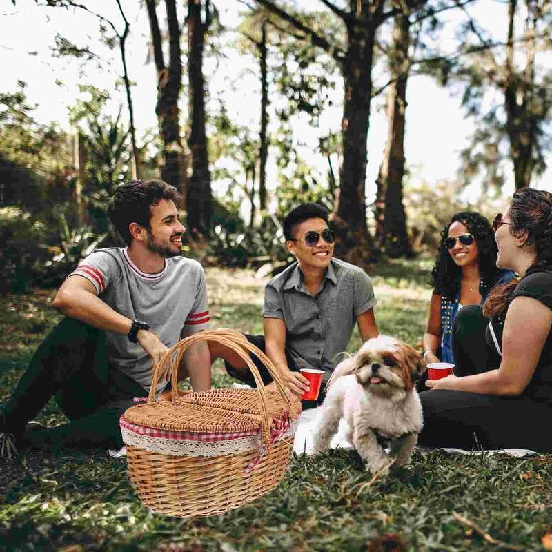 Picnic Hamper Basketball Seagrass Storage Basket Wicker Para Sa Gifts ...