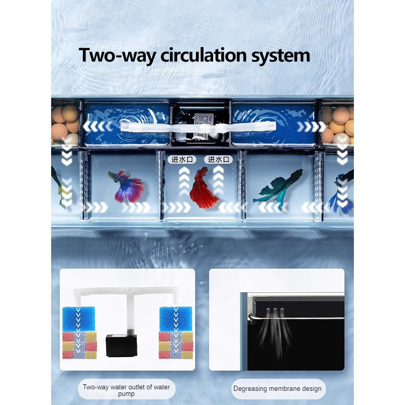 Betta Fish Tank Glass Double Grid Back Filter Thai Betta Fish Tank ...