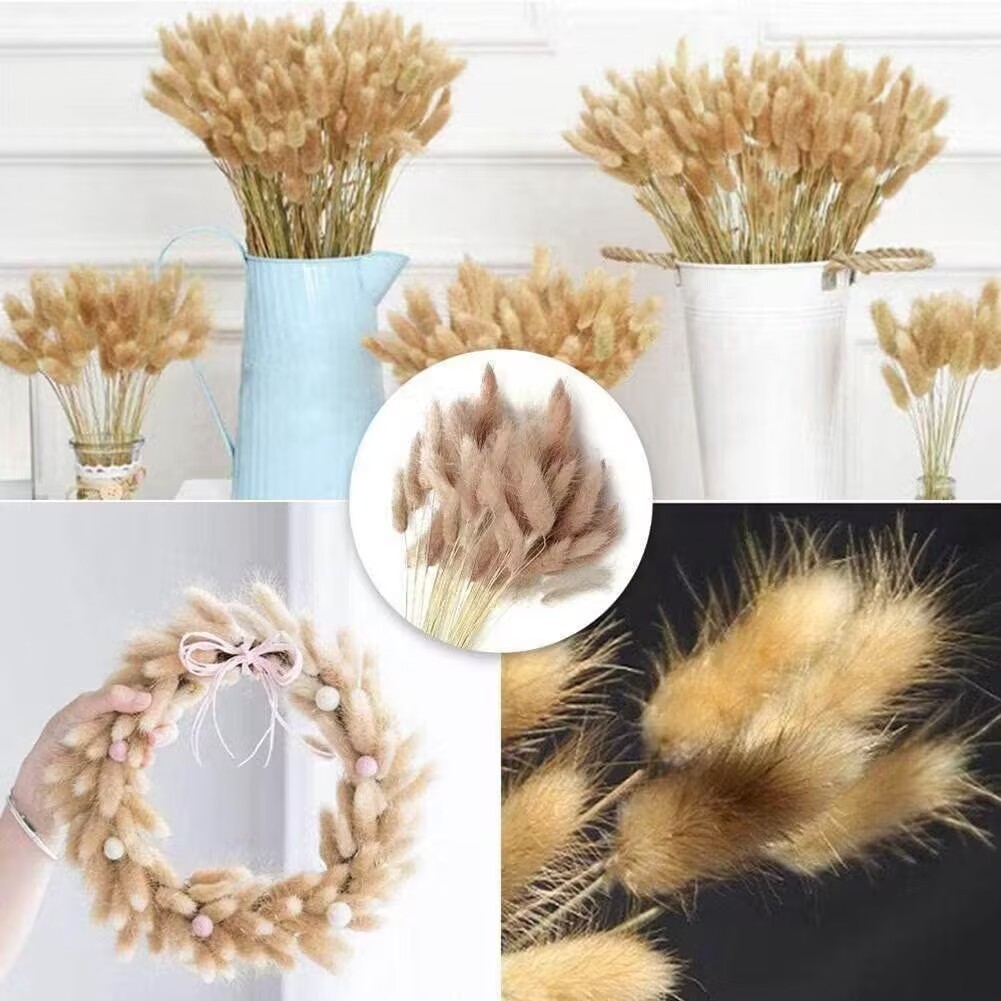 Nordic Style Rabbit Tail Grass Flower Dried Flower Bouquet Dyed ...