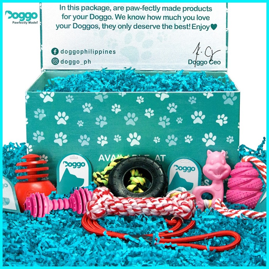 Doggo Paw-fect Joy Box (Female) | Shopee Philippines