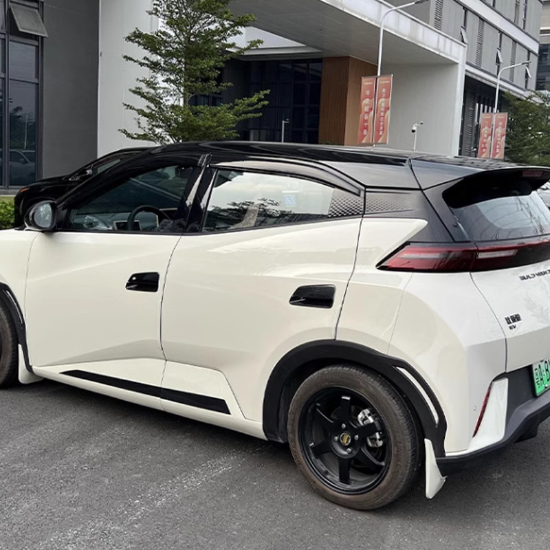 For BYD Seagull 2023-2024 Car Side Wing Decoration Sticker Fit Modified ...