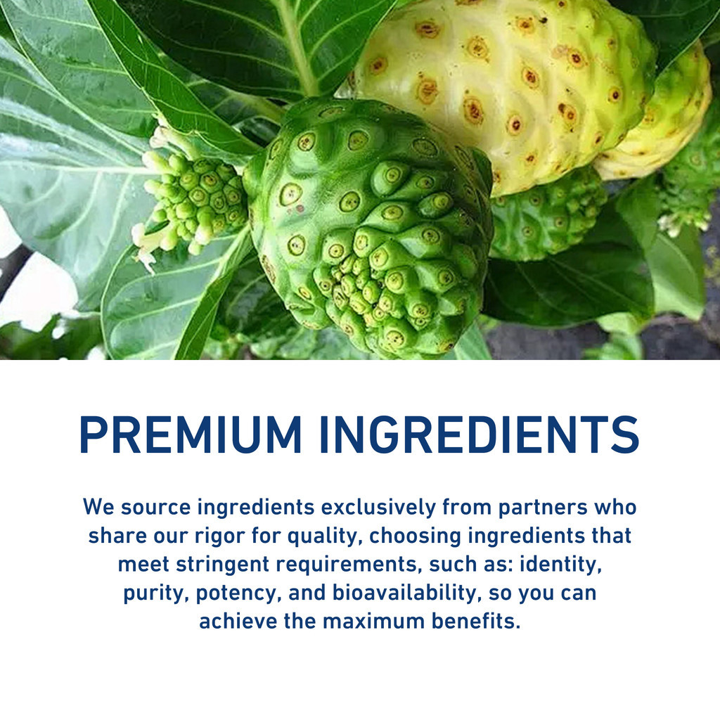 Pure Wild Noni Fruit Extract Capsules for Immune Support, Joint Support ...