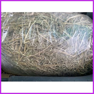 Shop rice 1 sack for Sale on Shopee Philippines