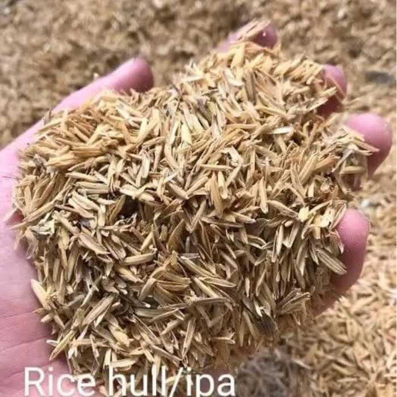 Ipa Ng Palay/Rice Hull 10Kg Per Sako D6d | Shopee Philippines