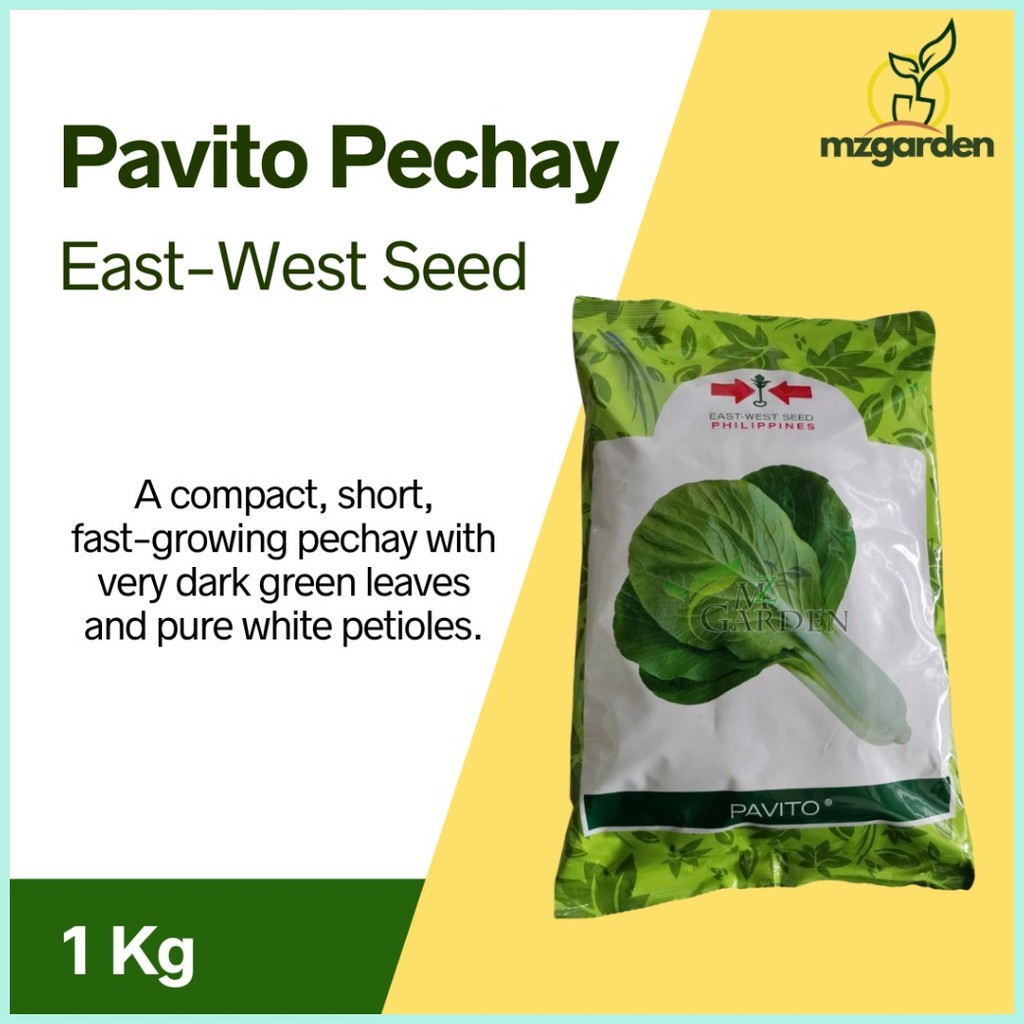 East-West Seed Pavito Pechay 1Kg | Shopee Philippines