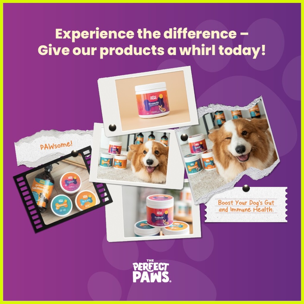 ∇ ¤ Perfect Paws 3-in-1 Probiotic for Dogs - Supports Your Pup's ...