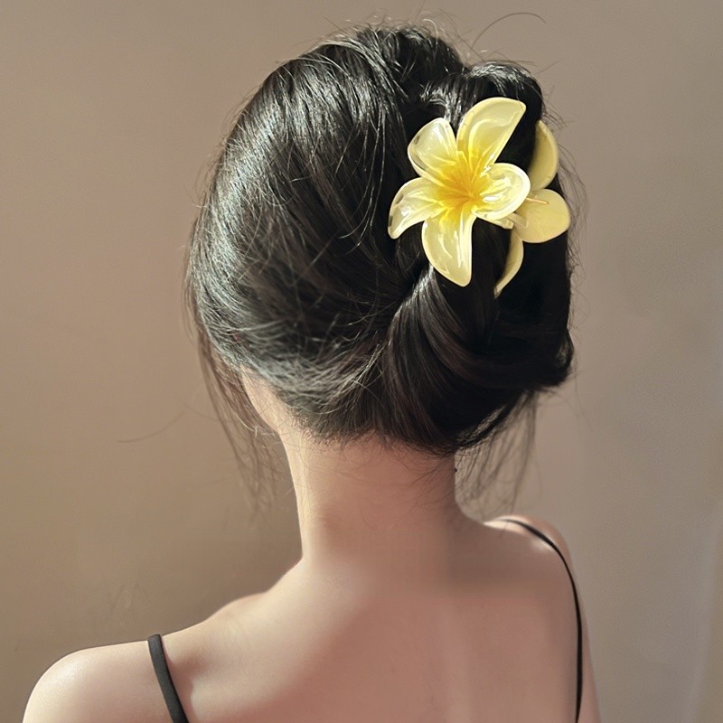 6pcs/set Hawaii Flower Hair Clamp for Women Girl Colorful Plumeria ...