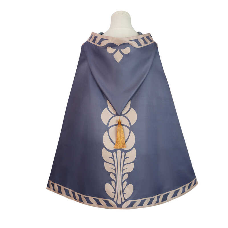 The Legend of Zelda Kingdom Tears cos Costume Link Zelda Princess Cloak ...