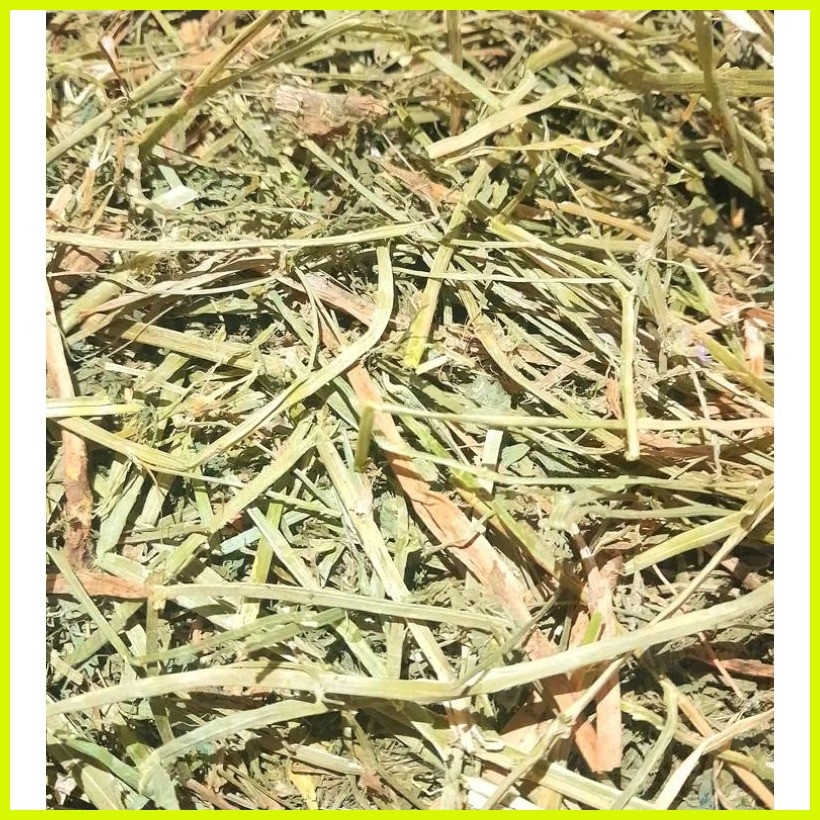 Anderson Alfalfa Hay Long Strand 1kg & 500g | Shopee Philippines