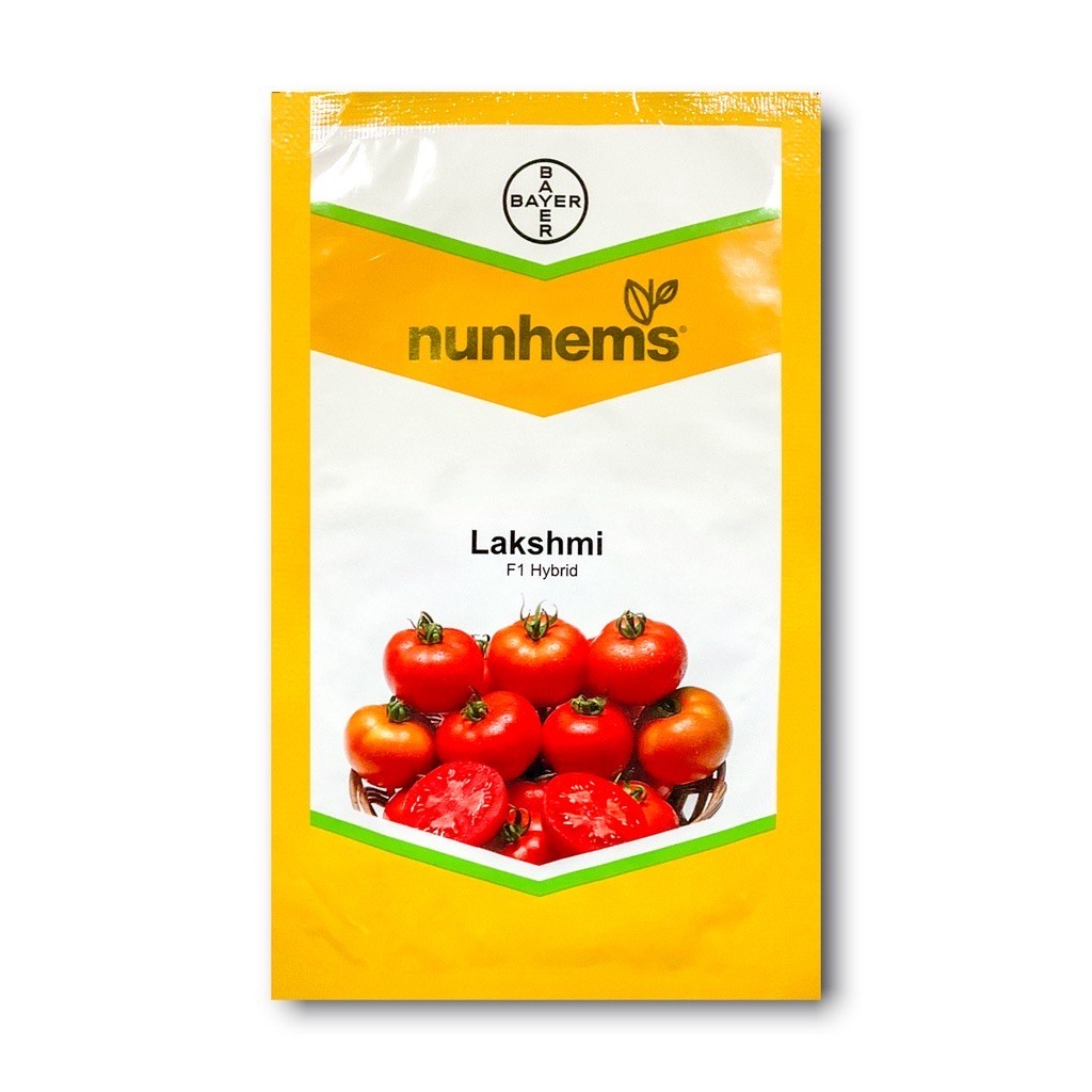 BAYER Red Tomato Nunhems Laxmi Seeds HYBRID F1 TOMATO SEEDS FVshop ...