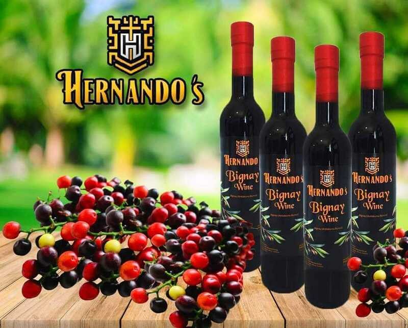 Hernandos Bignay Wine 500 Ml | Shopee Philippines