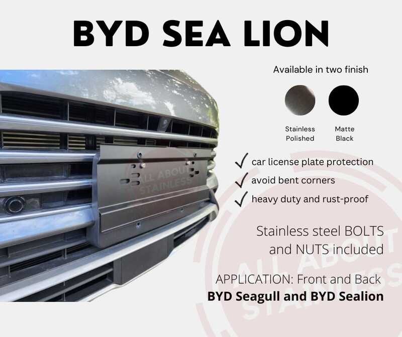 SEALION BYD Stainless Steel Universal Car Plate Holder | 1 Pc. ONLY ...