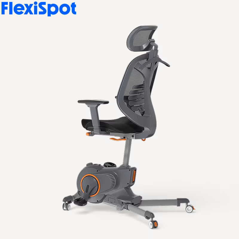 Flexispot V6 Pro Under Intelligent Fiess Chair Exercise Bike Home ...