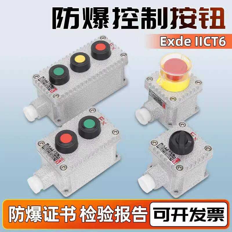 Explosion-Proof Anti-Corrosion Control Switch IICT6 Cast Aluminum BZ ...